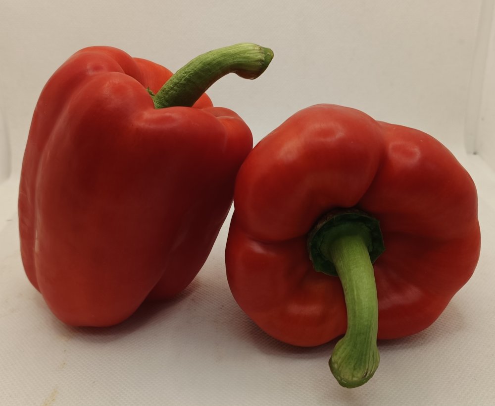 Poivron rouge - Saveurs de nos Terroirs